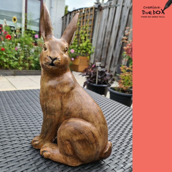 Crazy Rabbits: beschilder een haas met een te gek ontwerp - Creatieve ...